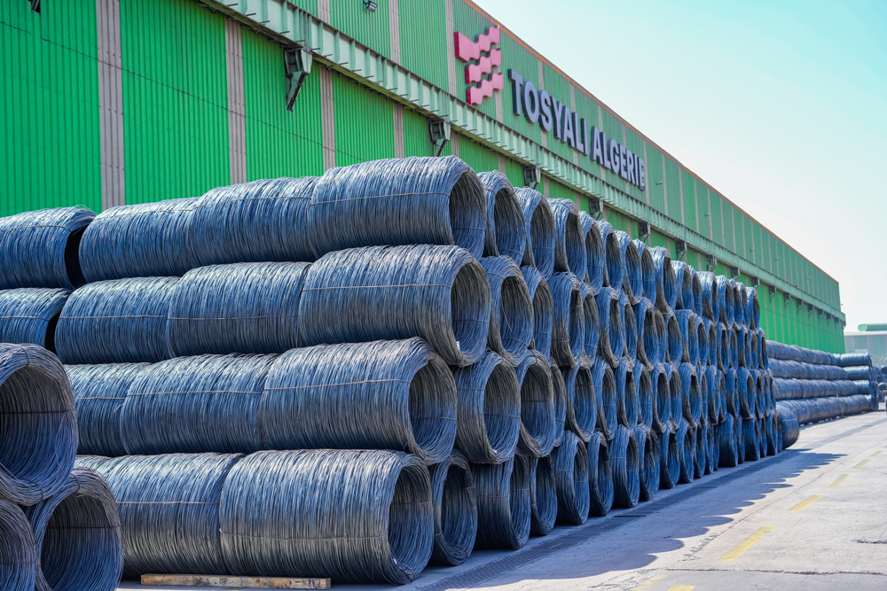 Wire Rods - Tosyalı Algerie